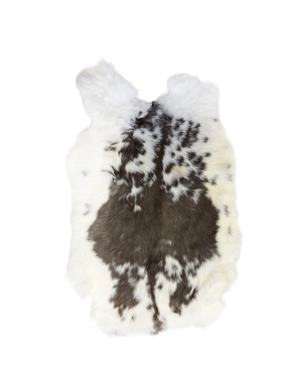 Echtes graues Schweizer Scheckenkaninchenfell kaufen – SWISSskulls ...