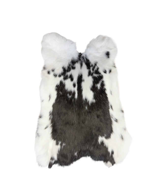 Echtes schwarzes Schweizer Scheckenkaninchenfell kaufen – SWISSskulls ...