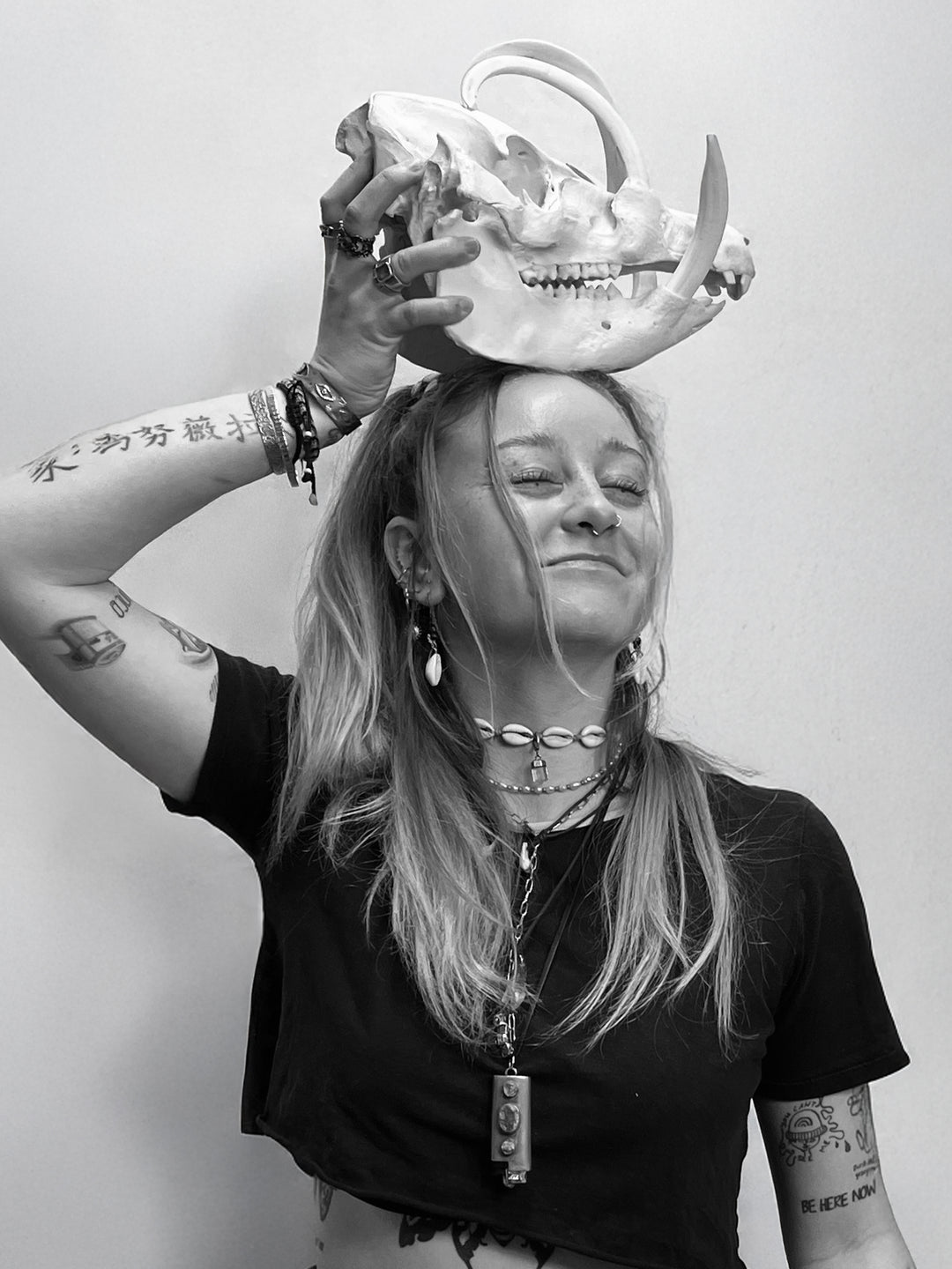 Buy human skulls | SWISSskulls – SWISSskulls International